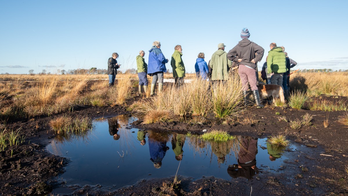 Moss of many layers – the PLACE Collective