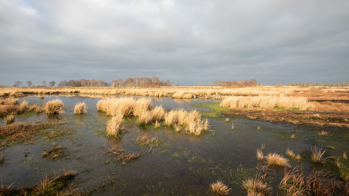 Bolton Fell Moss Poetry Walk – the PLACE Collective