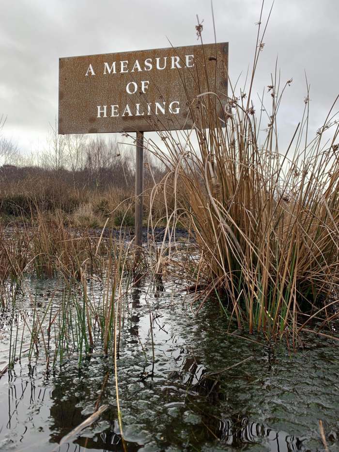 poetry sign test – success! – the PLACE Collective