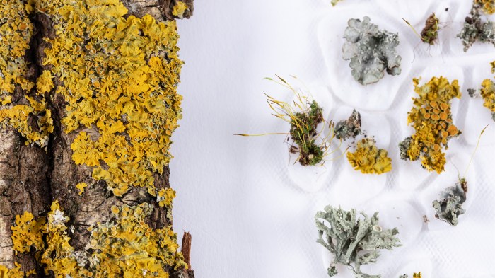 Yuning Chen – the PLACE Collective