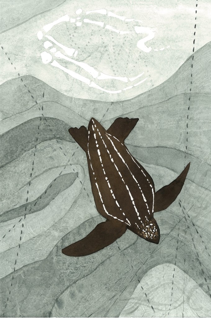 Kate Foster – the PLACE Collective