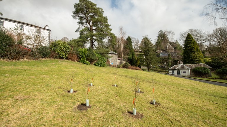 Resonance : Tree circle plantings – the PLACE Collective